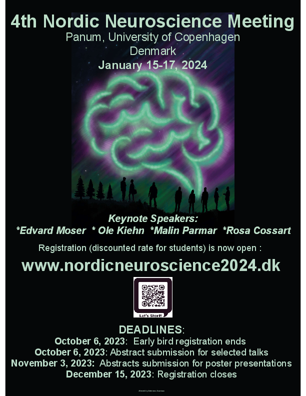 Registration is open for the 4th Nordic Neuroscience Meeting 2024