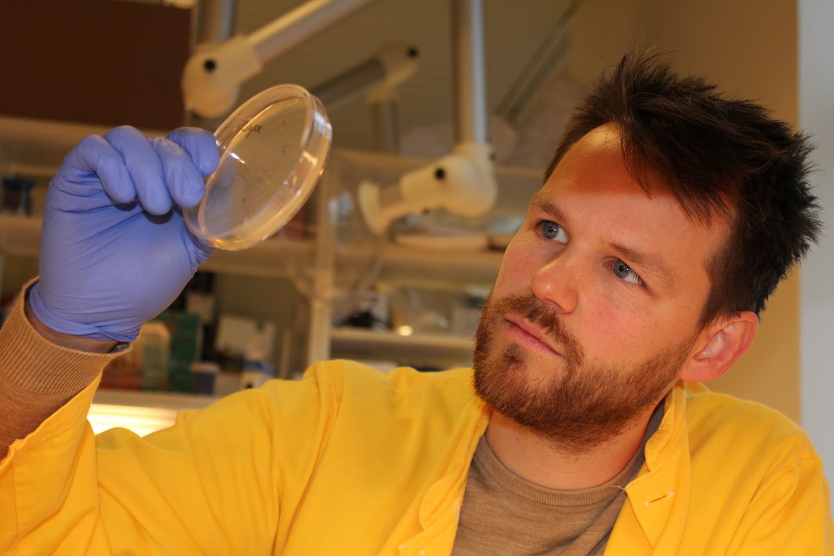 New Frontier Grant fuels young DANDRITE-researcher's biotech vision