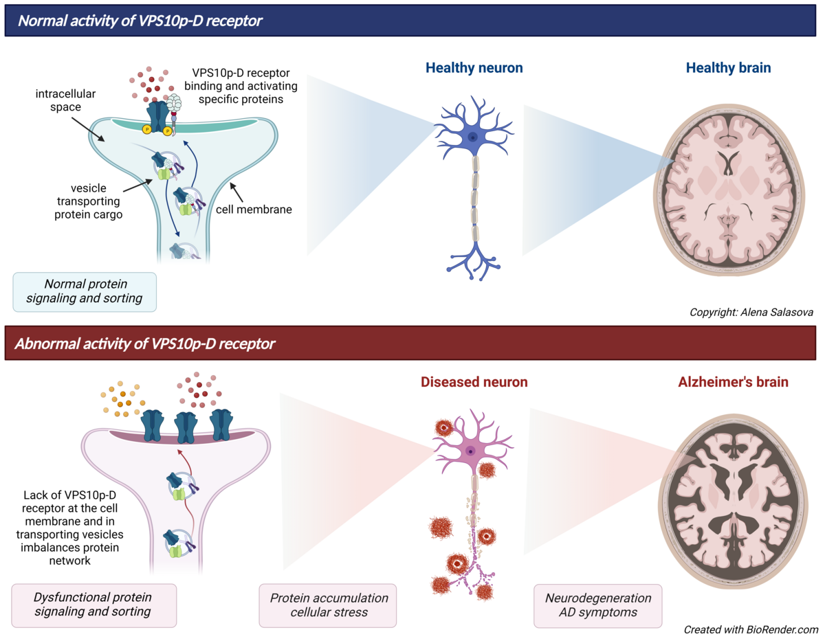 New review publication: Features a detailed “GPS system” to boost ...