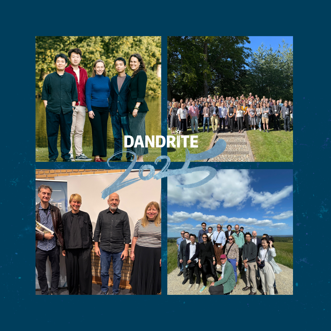 DANDRITE celebrates a year of growth and a new grant record